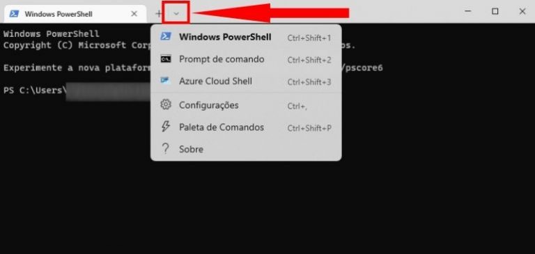 Como Instalar Terminal no Windows - Blog do Mangia